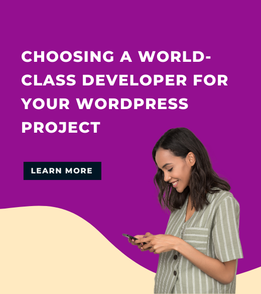 Choosing A World-Class Developer For Your WordPress Project